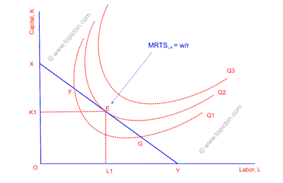 Profit Maximization Theory of Single-Product Firm - TopicBin